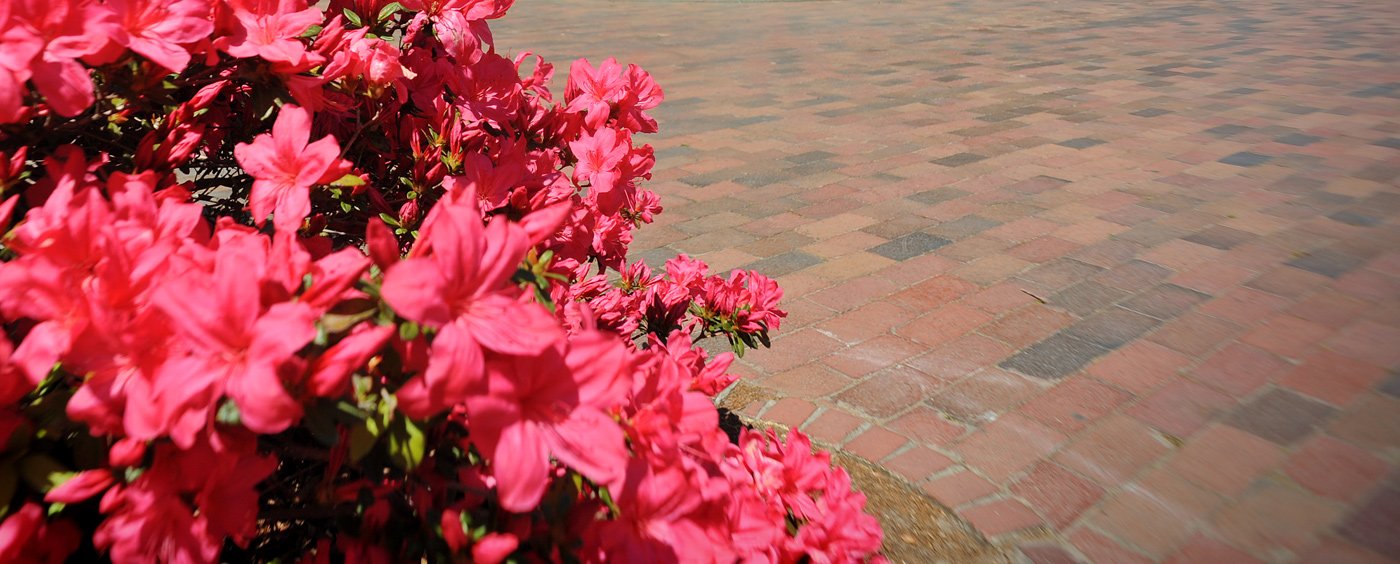 ROSS: Ensure Spellings’ success - Public Ed Works