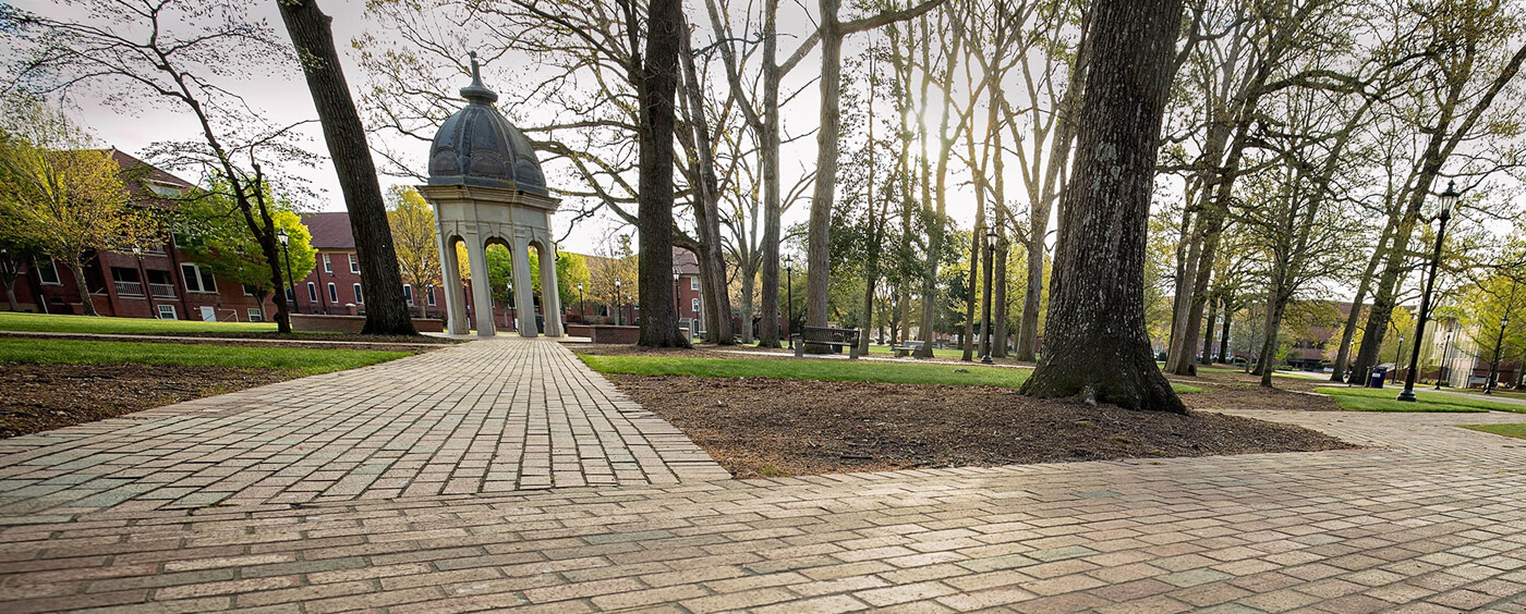 Cindy Elmore: A class of ping-pong balls - Public Ed Works